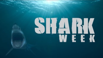 20 Years of Shark Week - Follow The Wire